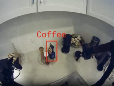 A VLA with Open-World Generalization